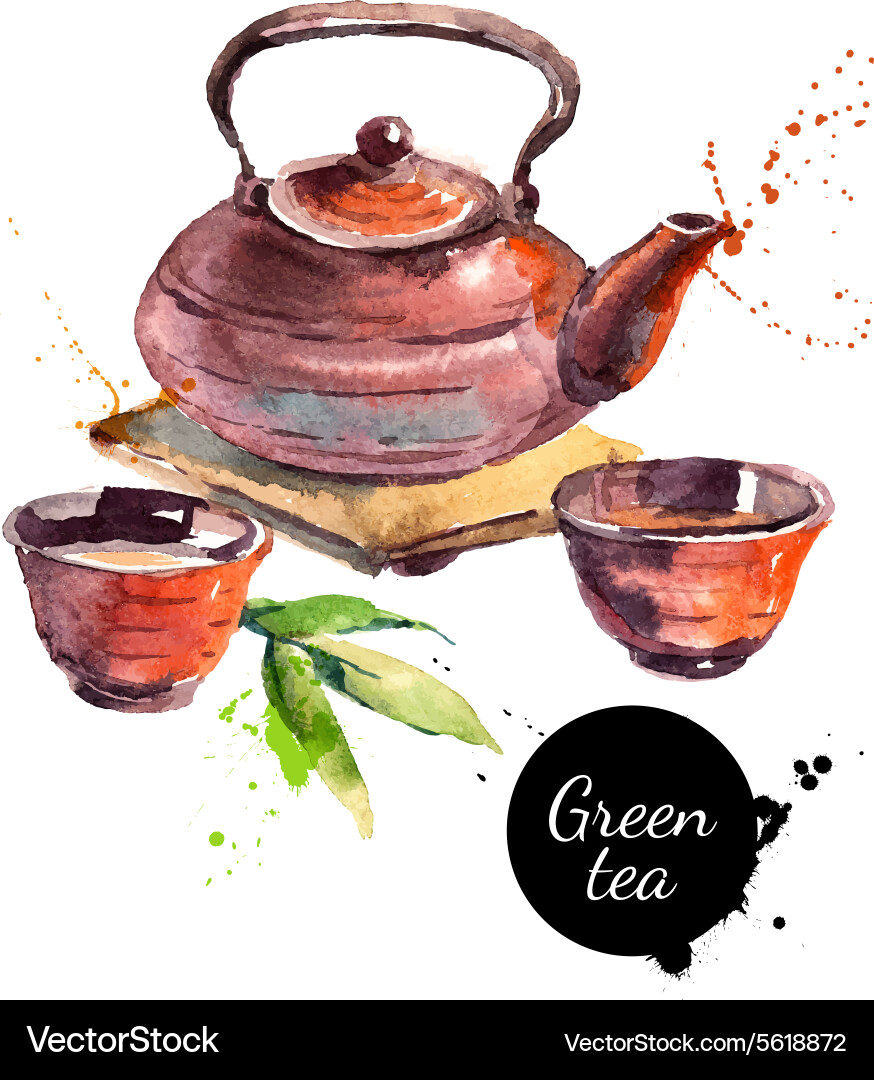 Watercolor hand drawn painted tea Royalty Free Vector Image