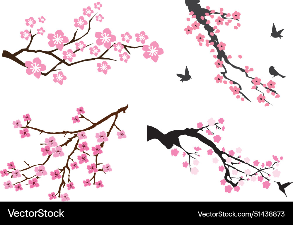 Cherry blossom Royalty Free Vector Image - VectorStock
