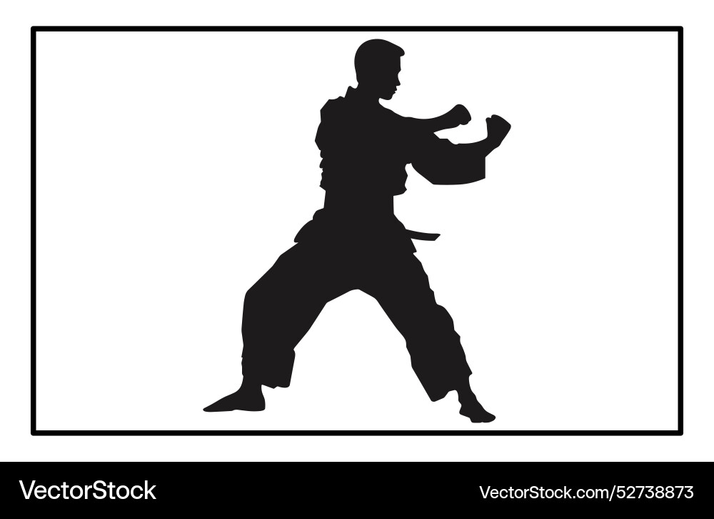 Karate male silhouette - dynamic martial arts pose