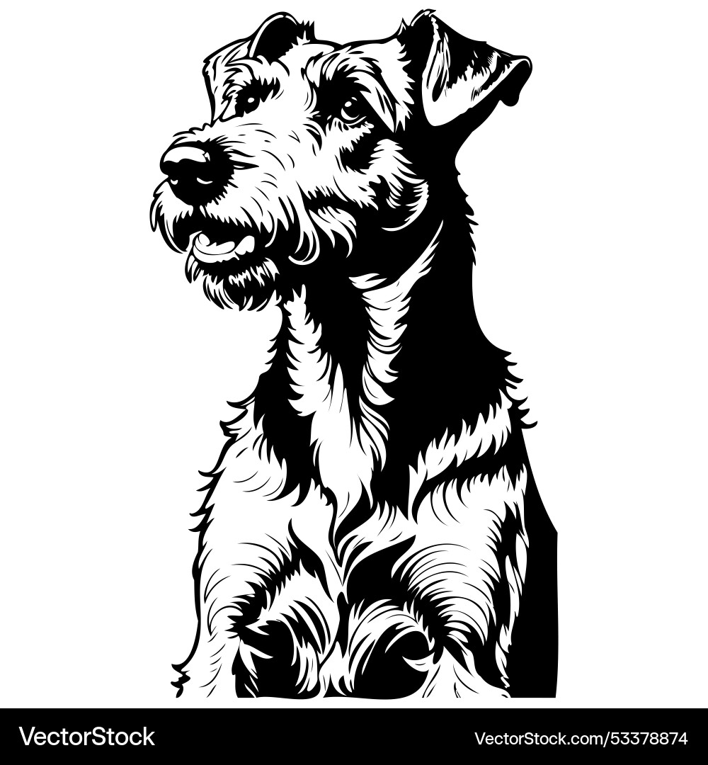 Airedale terrier sitting drawing animal head line Vector Image