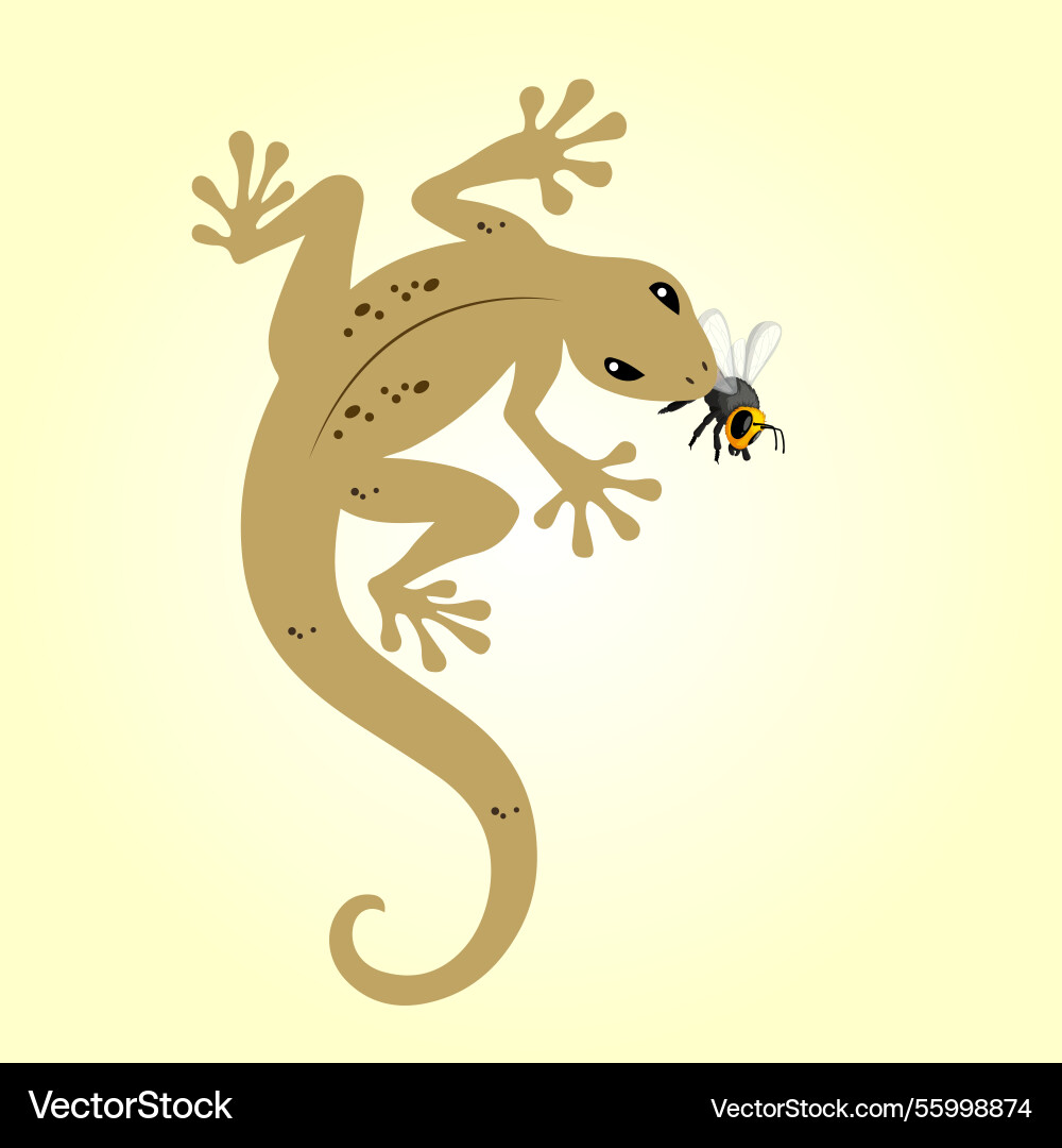 Gecko hunting a fly Royalty Free Vector Image - VectorStock