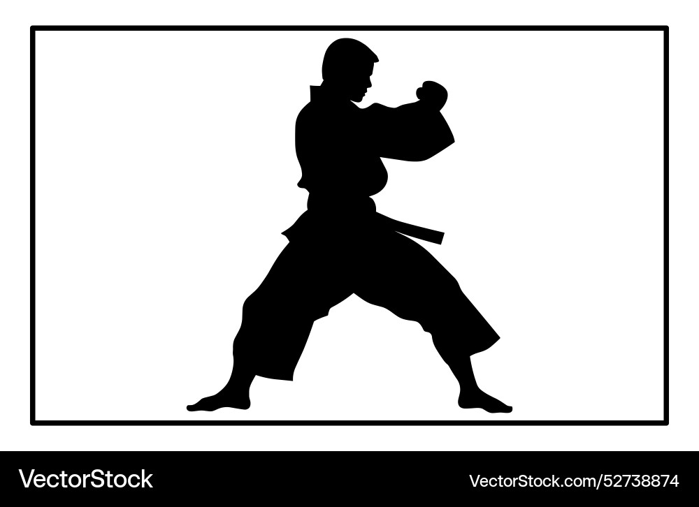 Karate male silhouette - dynamic martial arts pose