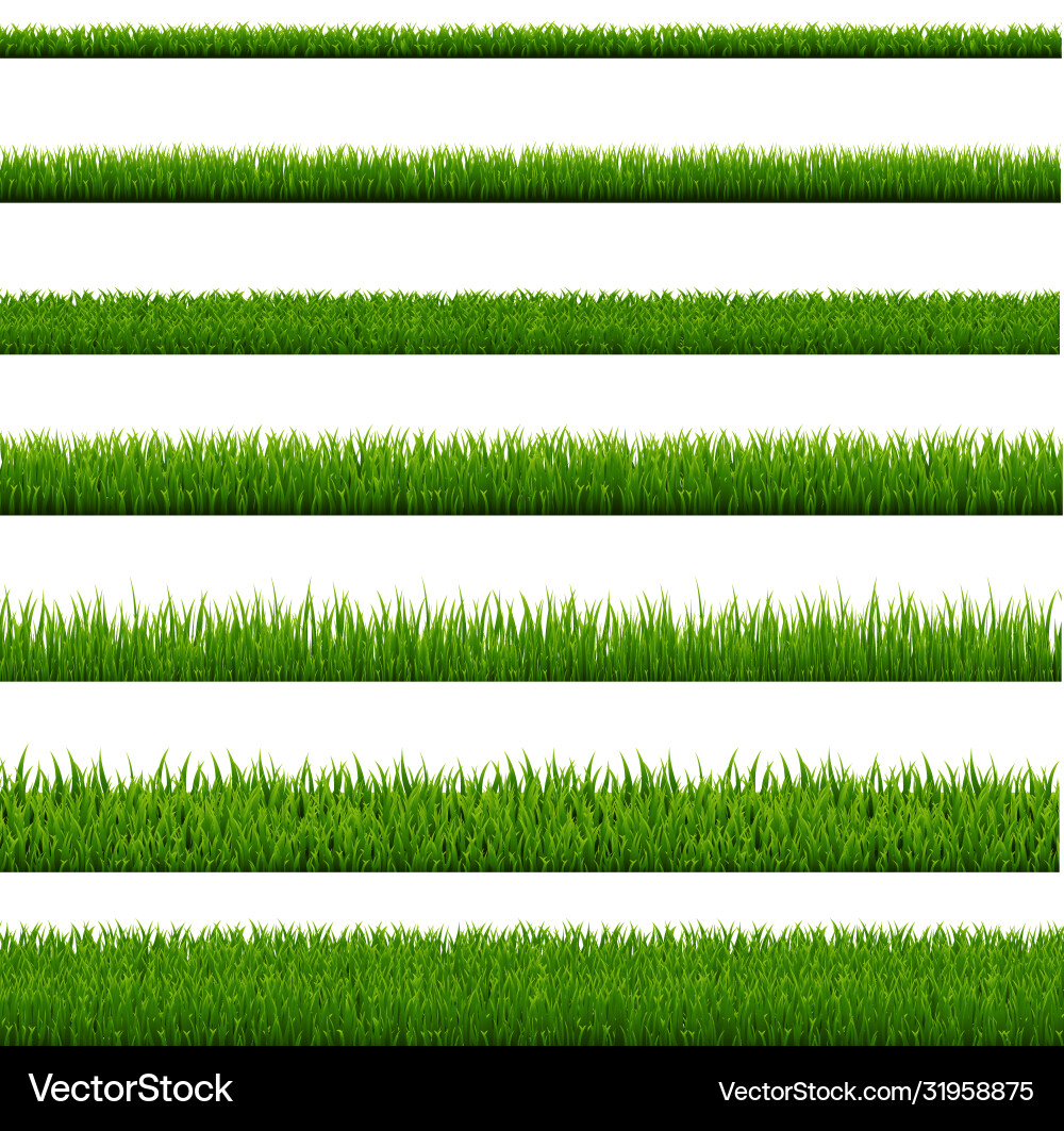 Grass border collection isolated white background Vector Image