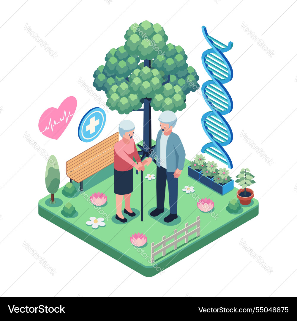 Isometric active elderly person with longevity Vector Image