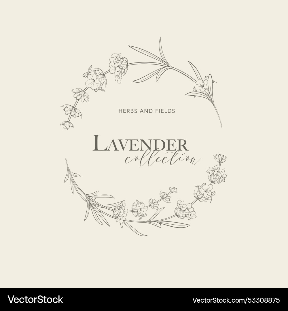 Lavender flower logo floral design label Vector Image