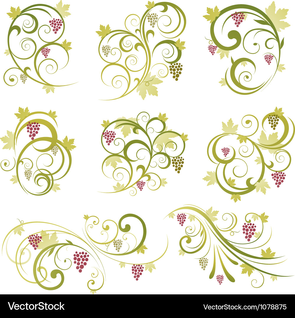Set of wine grapes design elements Royalty Free Vector Image