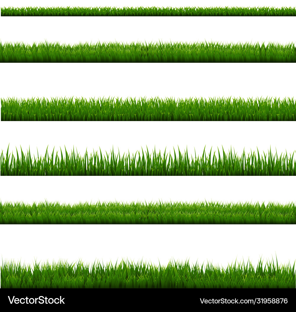 Grass border collection isolated white background Vector Image