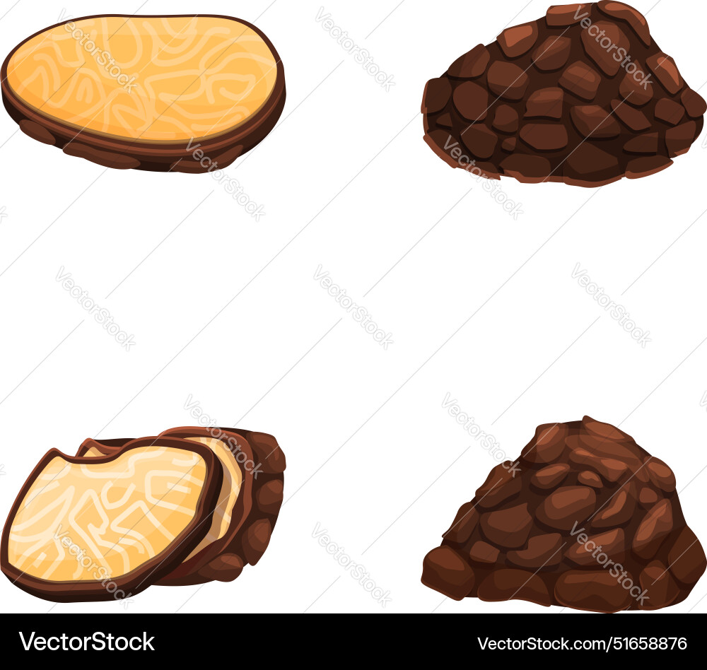 Truffle mushroom icons set cartoon Royalty Free Vector Image