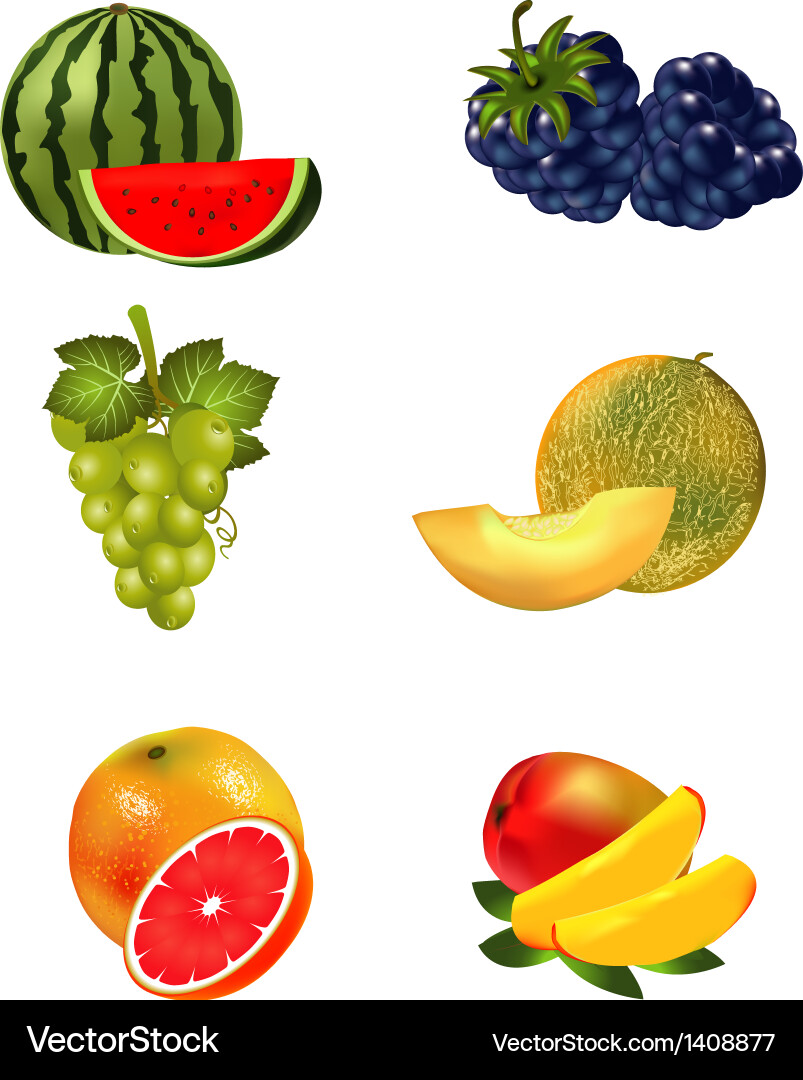 Fruits set Royalty Free Vector Image - VectorStock