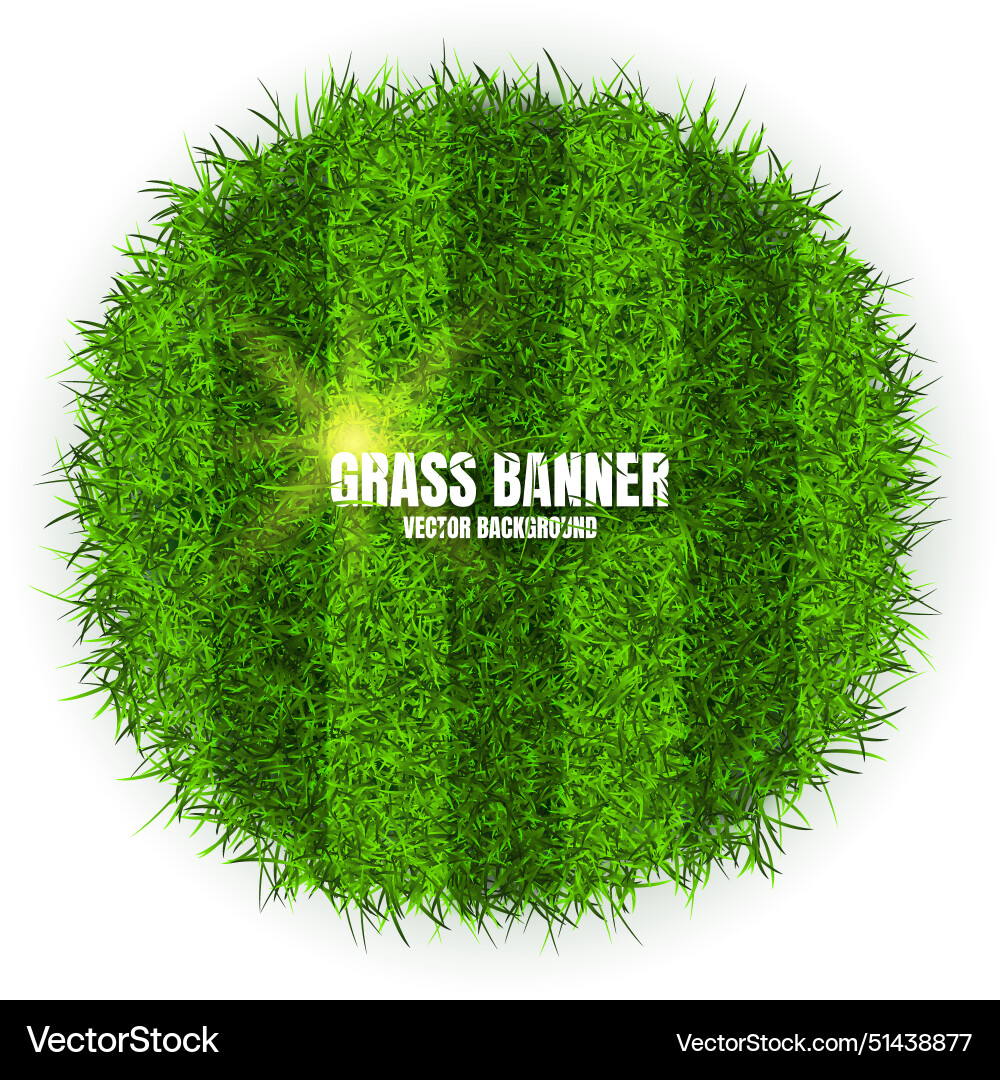 Green grass banners background field meadow Vector Image