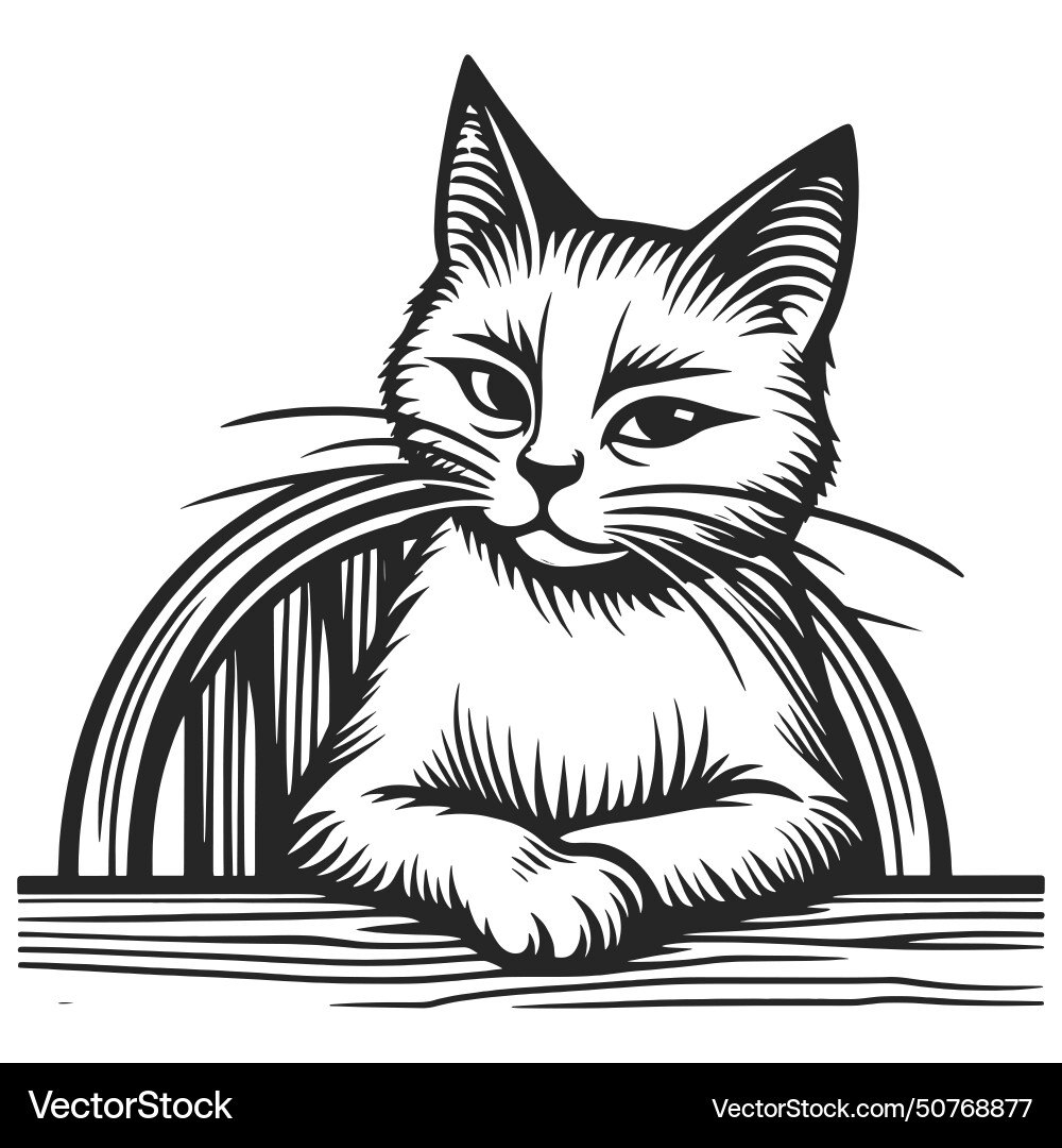 Skeptical cat sketch Royalty Free Vector Image