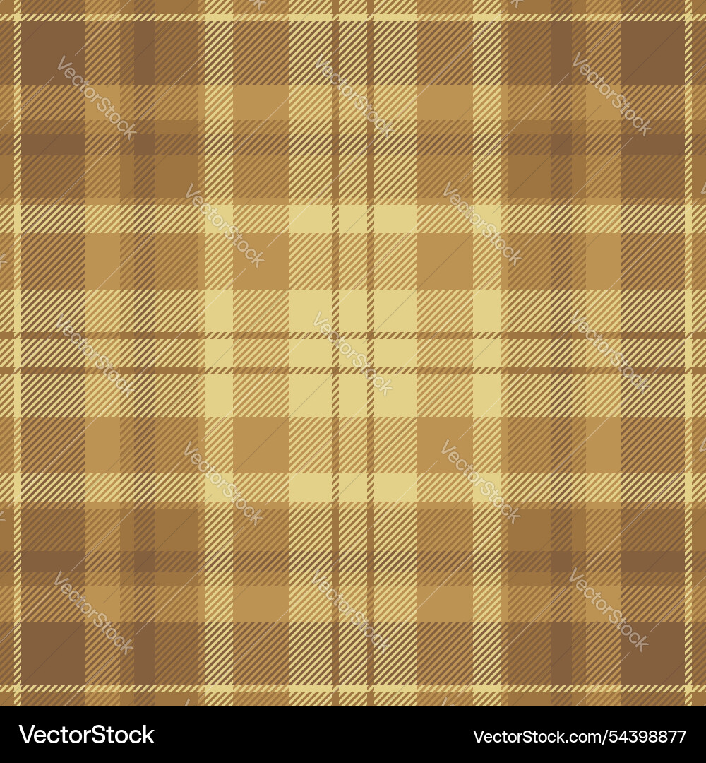 Stage fabric tartan check madras background plaid Vector Image