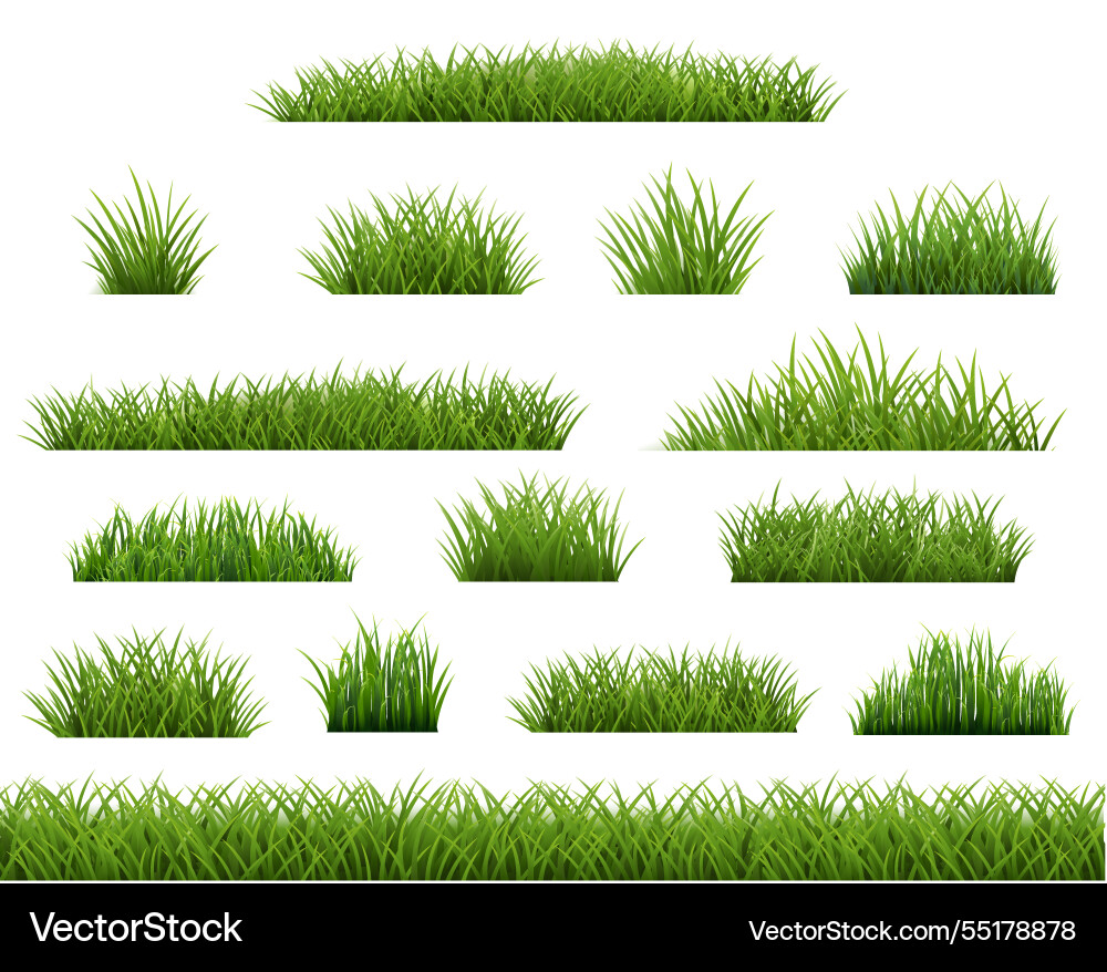 Grass border collection white background Vector Image