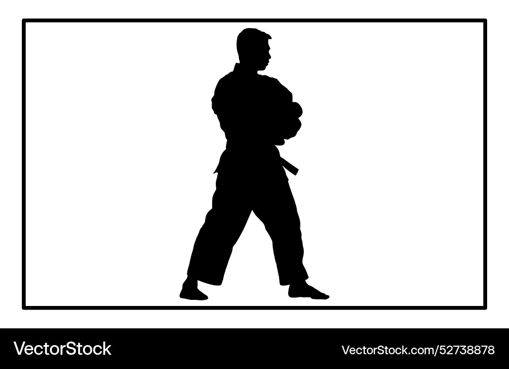 Karate male silhouette - dynamic martial arts pose