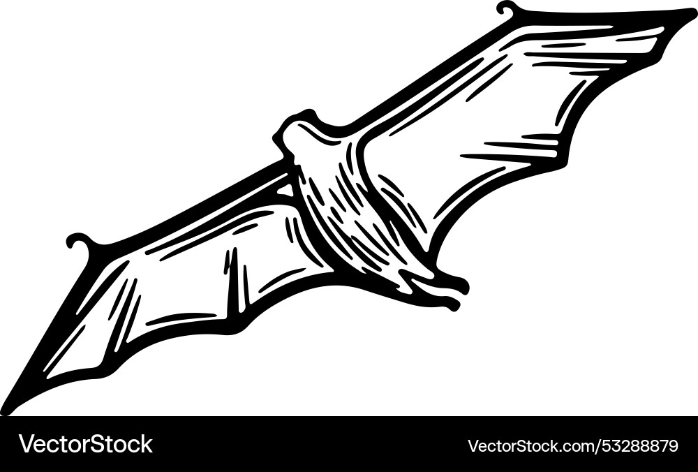 Bat flying line drawing Royalty Free Vector Image