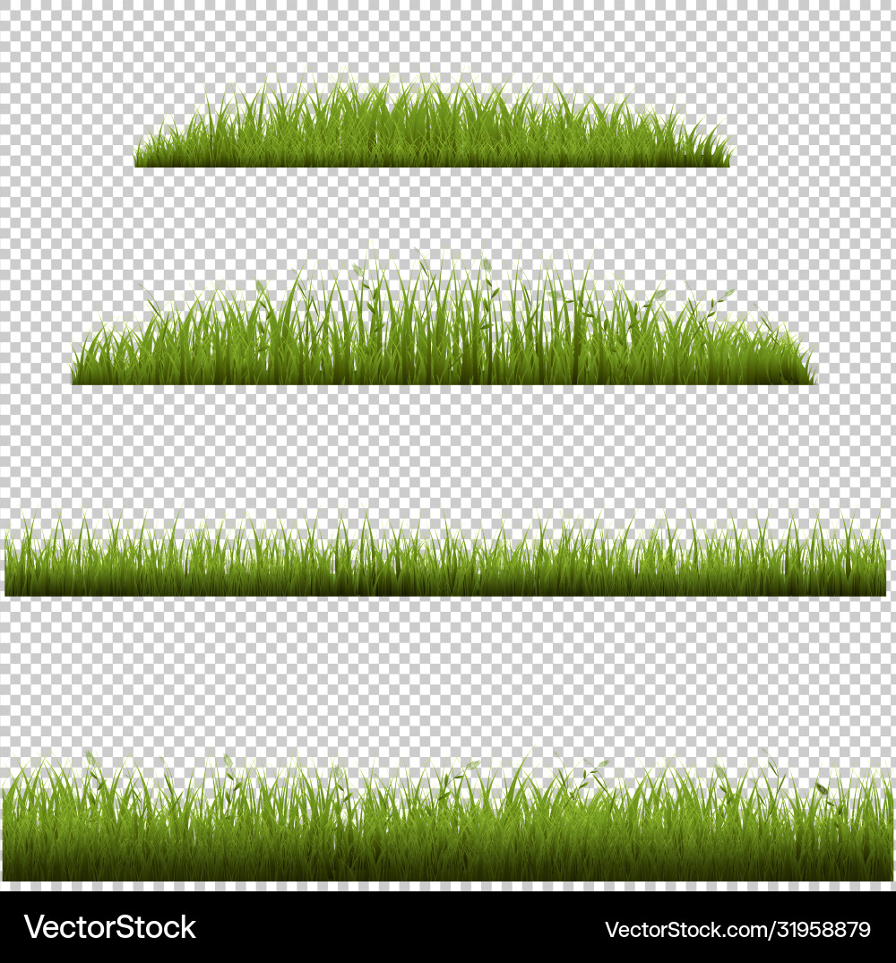 Grass frame in transparent background Royalty Free Vector