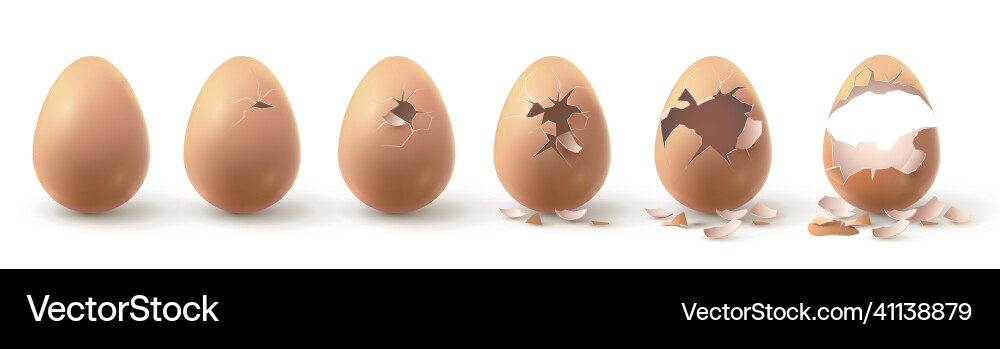 Realistic farm chicken egg broken hatching chick Vector Image