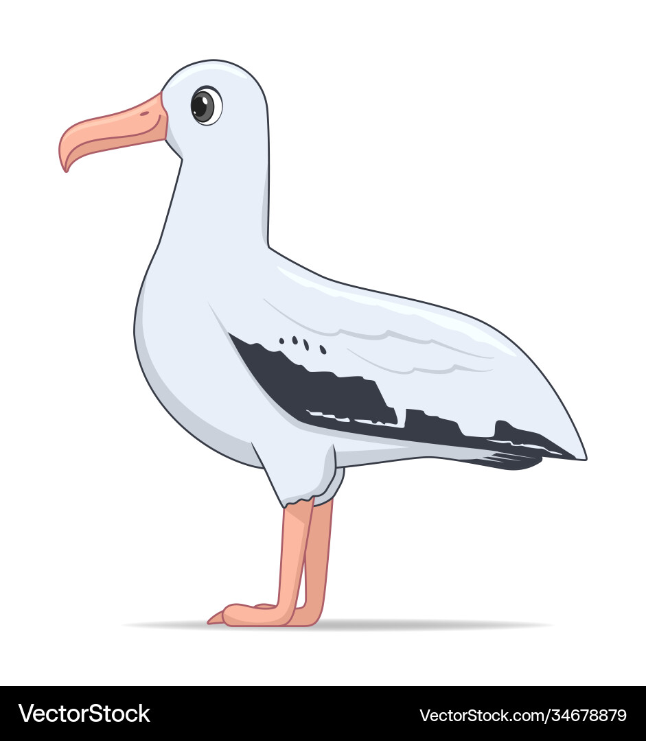 Wandering albatross bird on a white background Vector Image