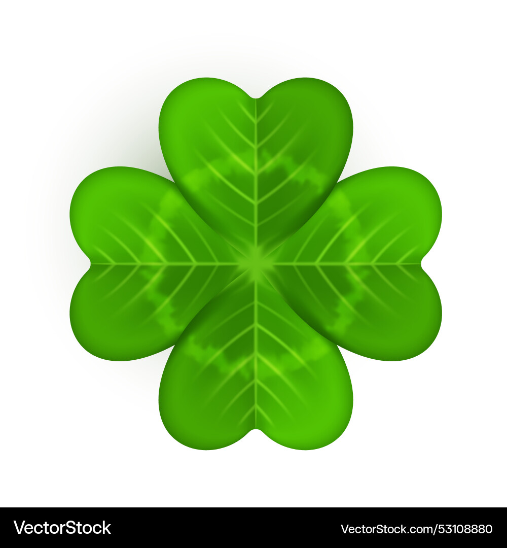 Realistic shamrock icon clover four leaves logo Vector Image