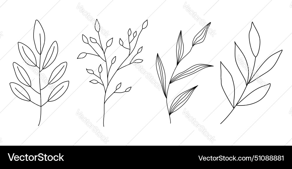 Set of different branches with leaves doodle Vector Image