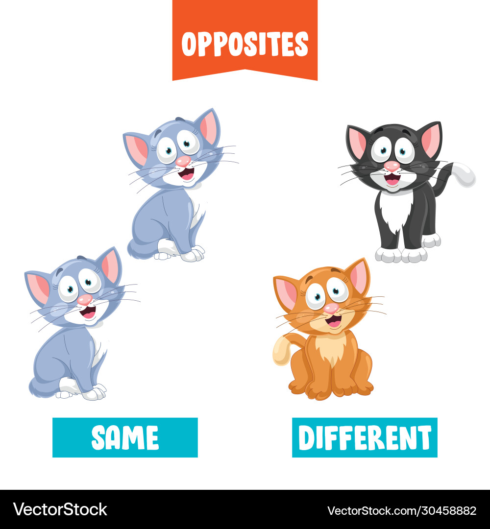 Same and different Royalty Free Vector Image - VectorStock
