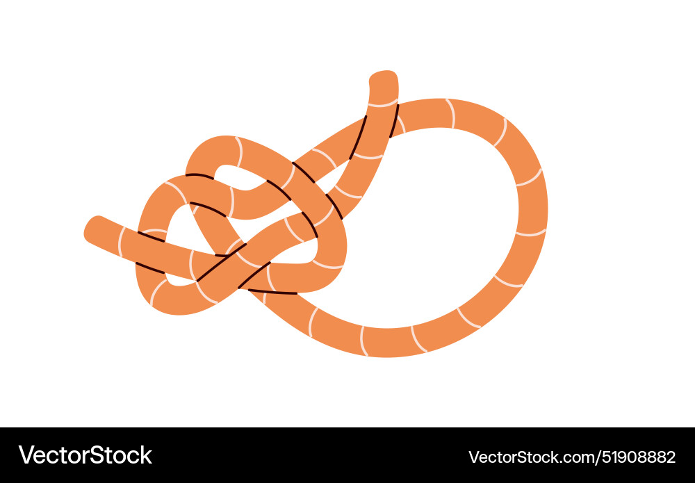Tutorial of tying bowline knot bundle rope Vector Image