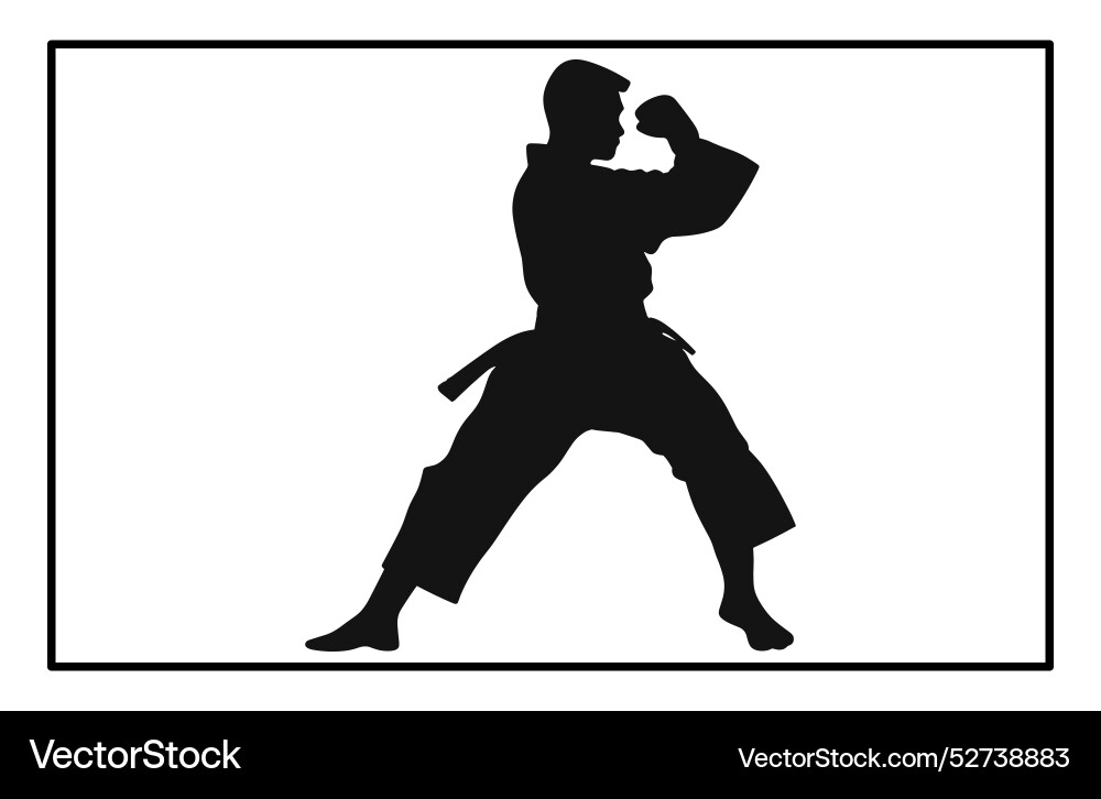 Karate male silhouette - dynamic martial arts pose
