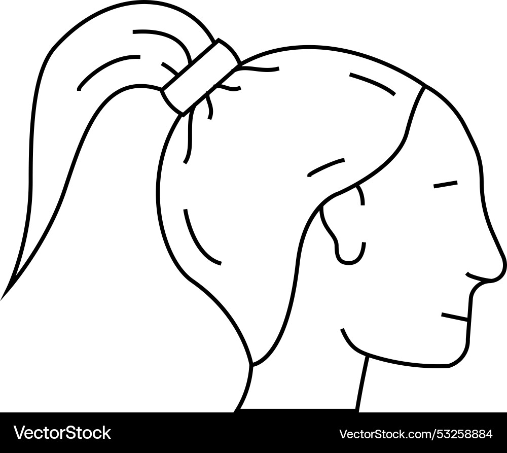 Ponytail hairstyle female line icon Royalty Free Vector