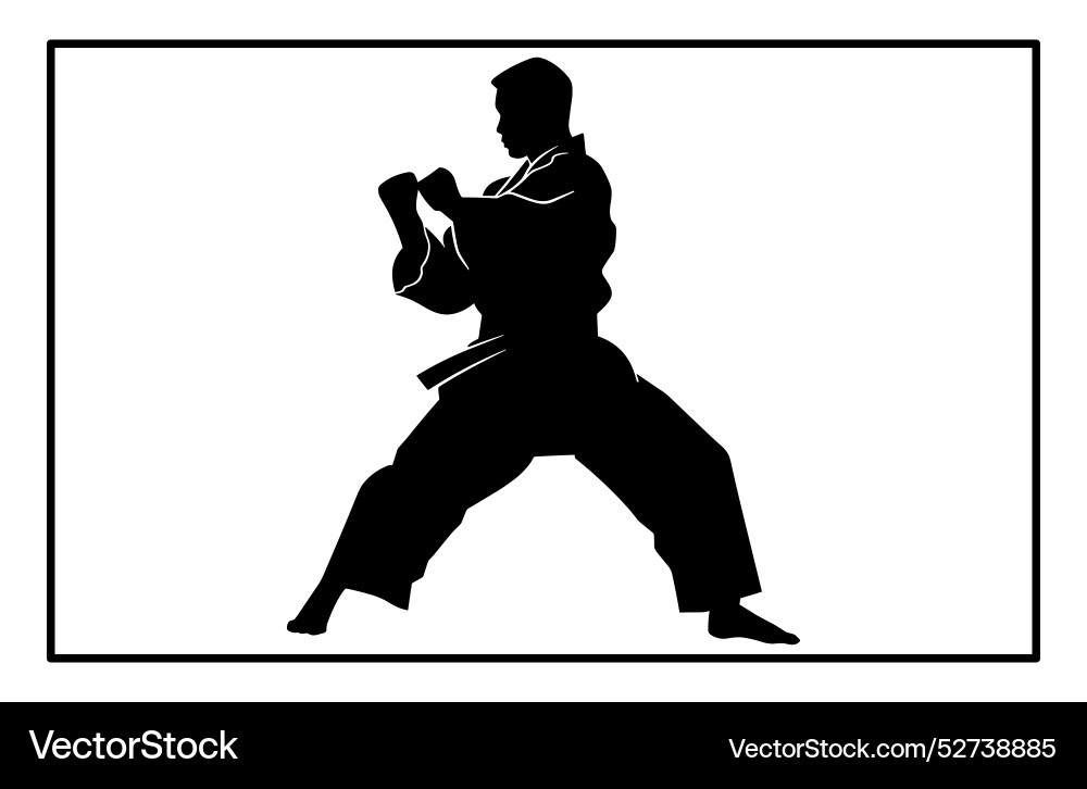 Karate male silhouette - dynamic martial arts pose
