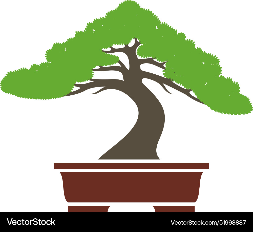 Bonsai plant tree Royalty Free Vector Image - VectorStock