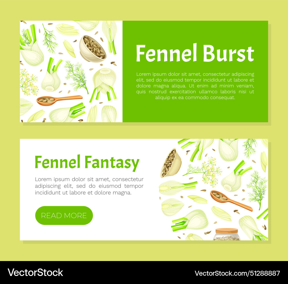 Fennel banner design with edible condiment Vector Image