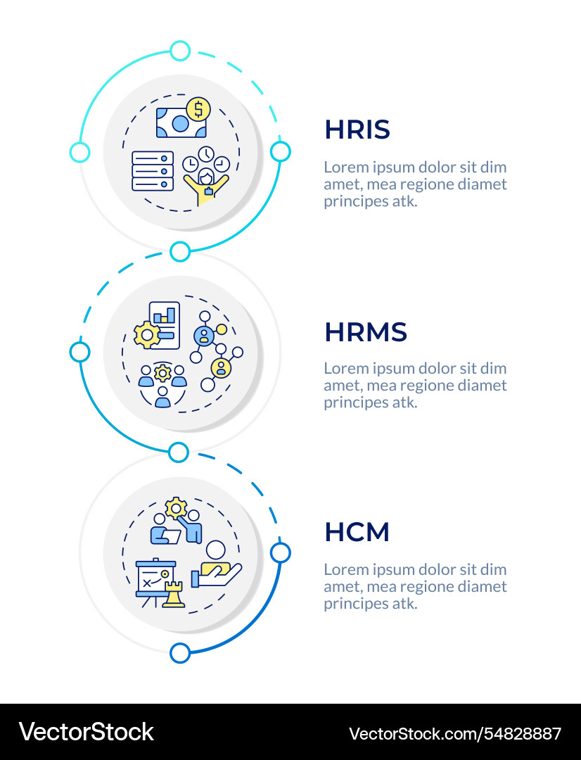 Hrms vs hris hcm infographische vertikale Sequenz Vektorbild