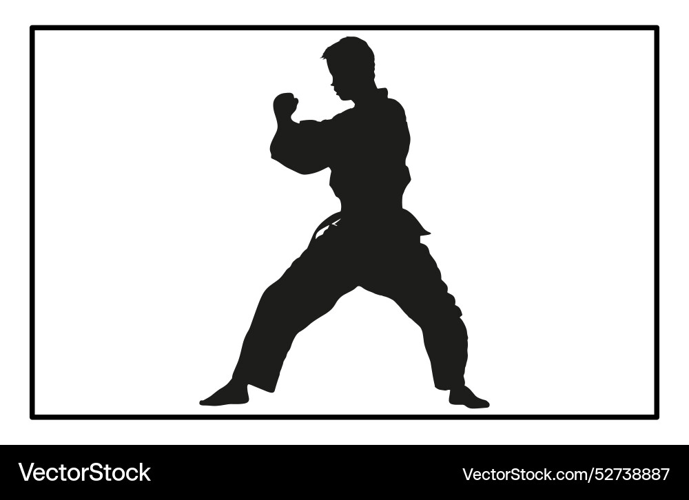 Karate male silhouette - dynamic martial arts pose