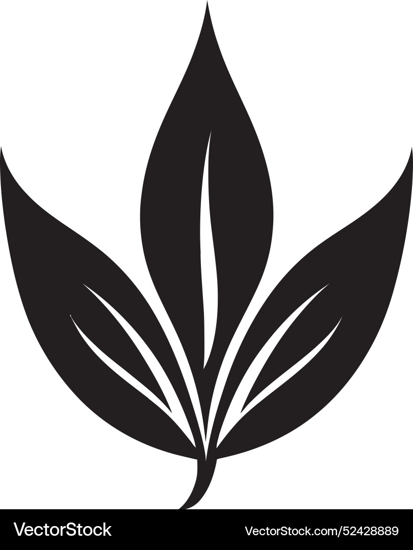 Art of leaf mastery Royalty Free Vector Image - VectorStock