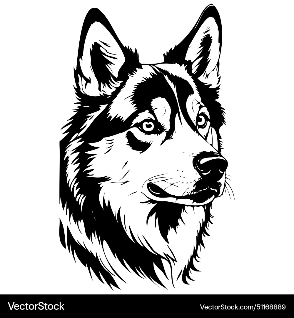 Engrave alaskan husky portrait realistic ink Vector Image