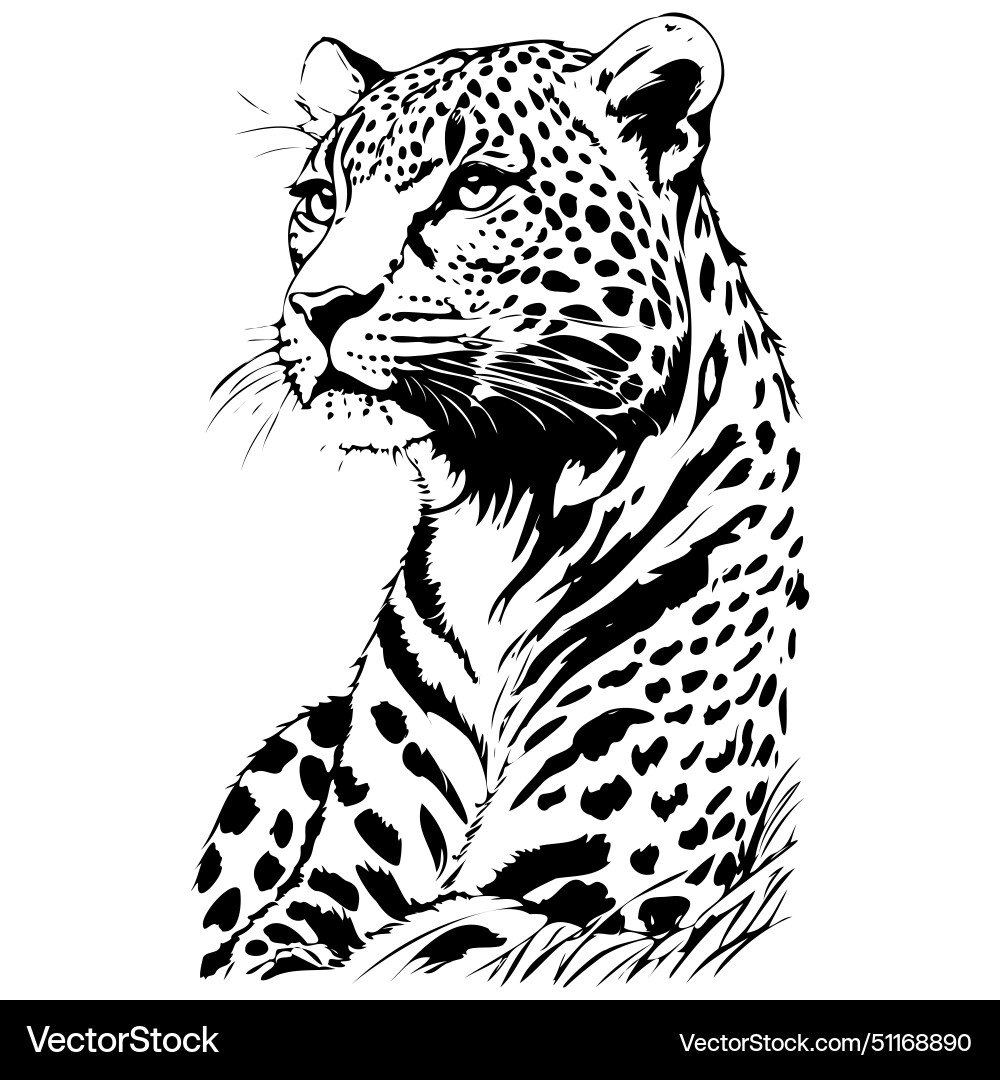 Engrave amur leopard portrait hand drawn Vector Image