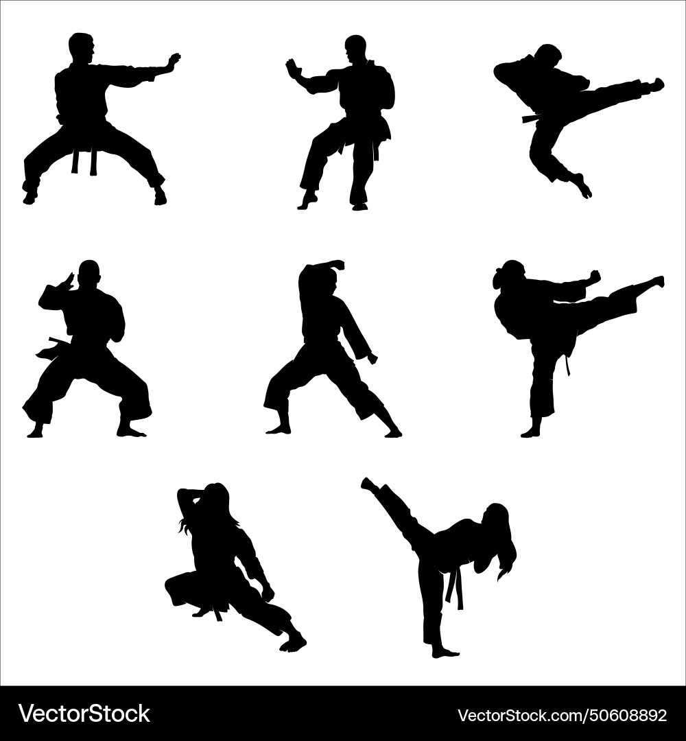 Karate fighting silhouettes Royalty Free Vector Image