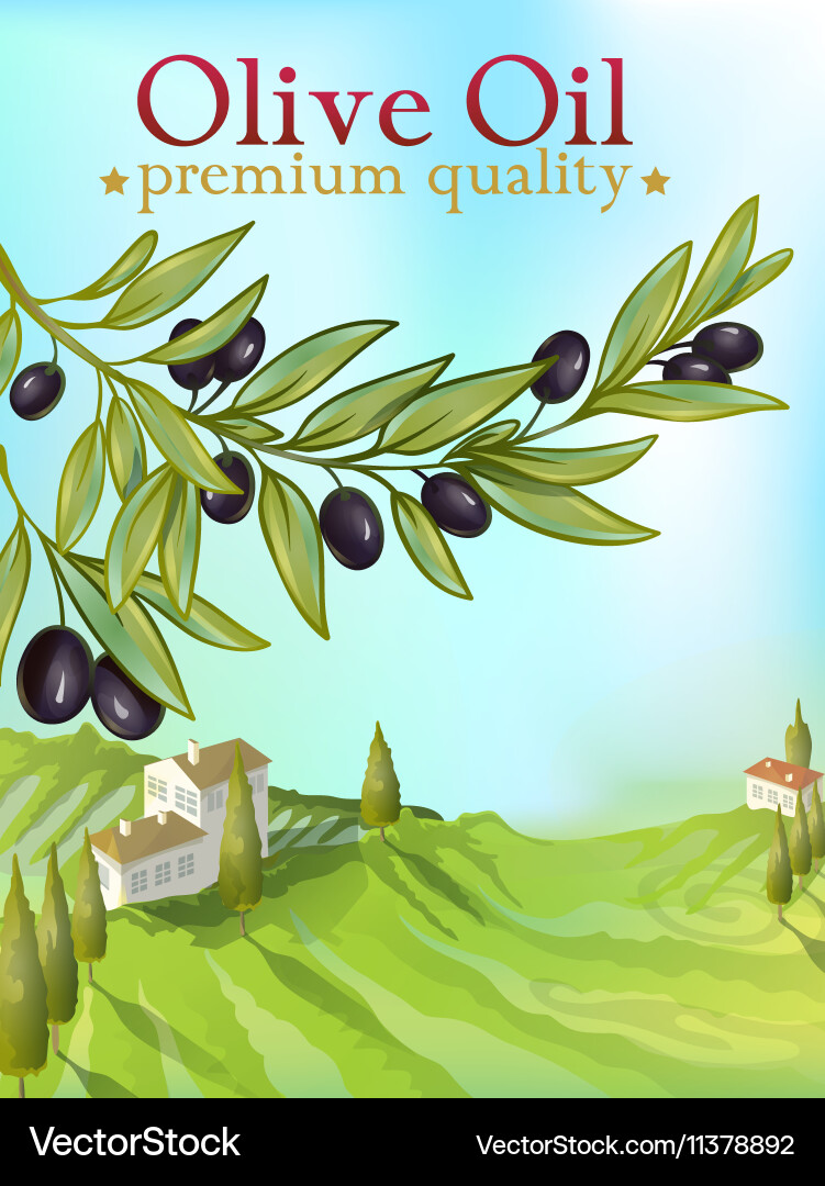 Olive oil premium poster Royalty Free Vector Image