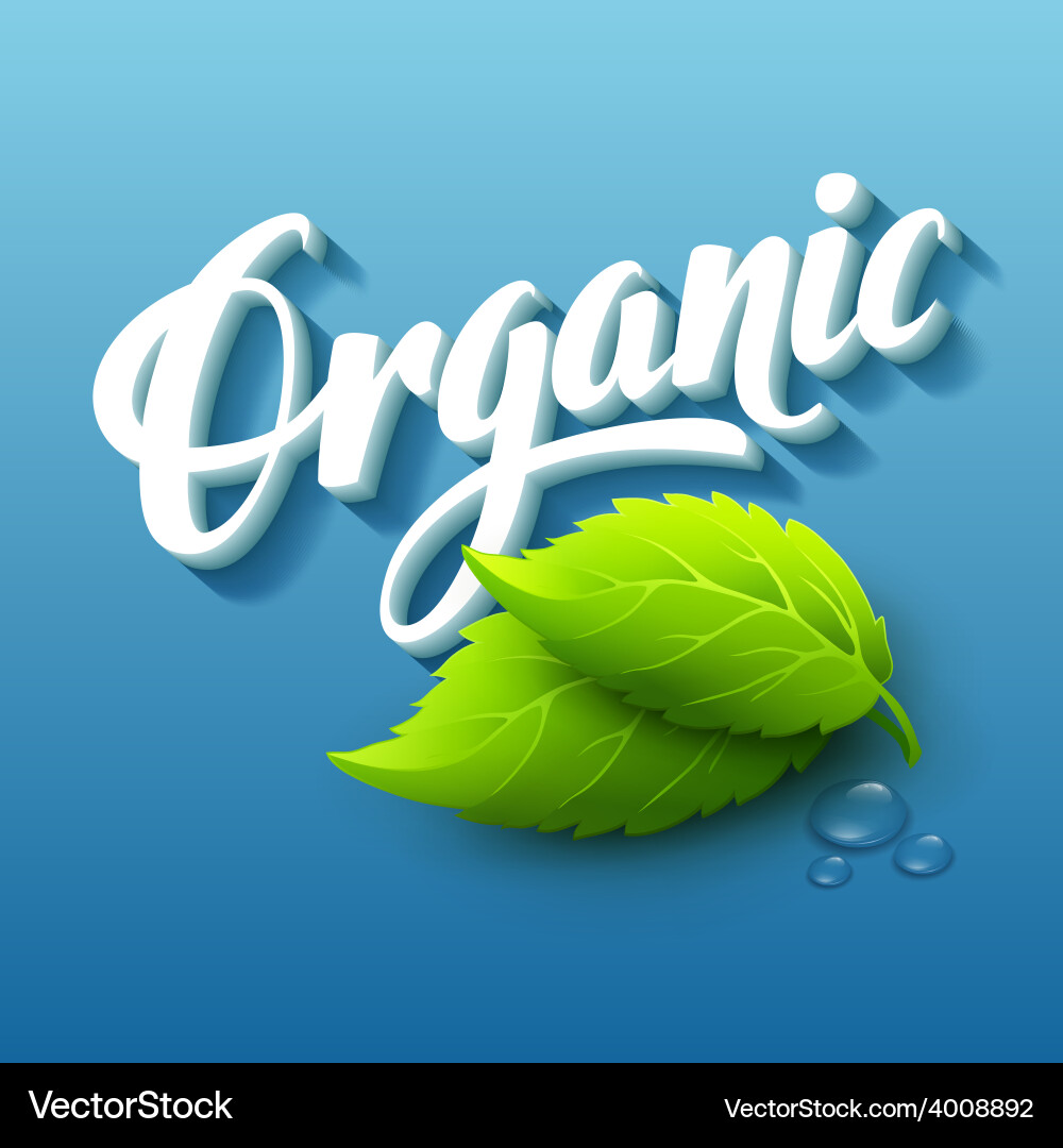 Organic Leaf Logo Royalty Free Vector Image - VectorStock