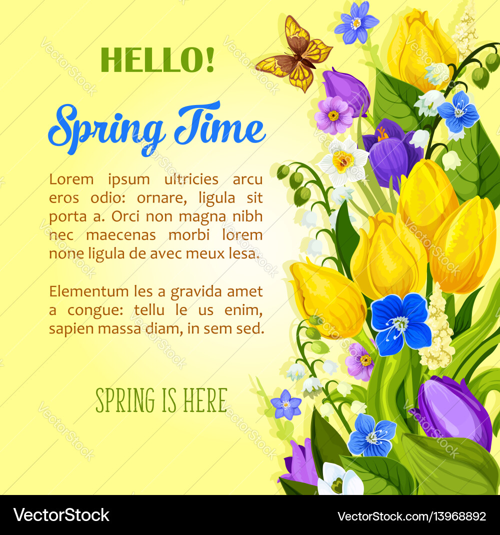 Spring flowers blooming design greetings Vector Image