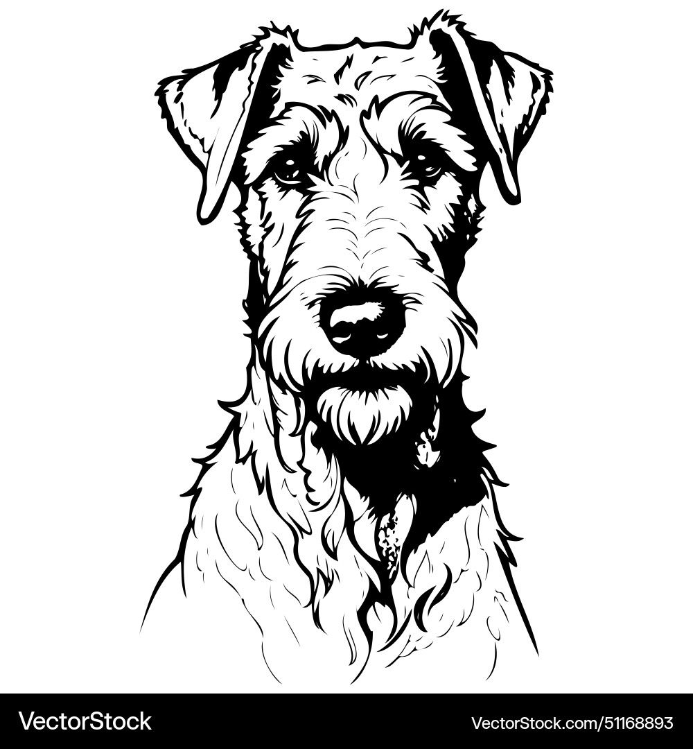 Ink airedale terrier portrait drawing black Vector Image