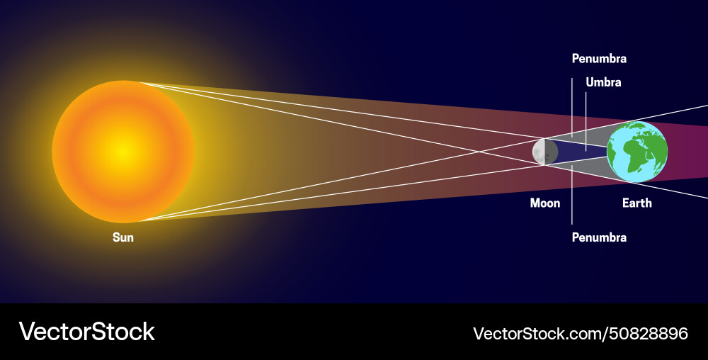 Solar eclipse with penumbra and umbra sun moon Vector Image