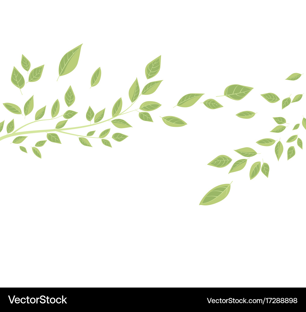 Branches and green leaves Royalty Free Vector Image