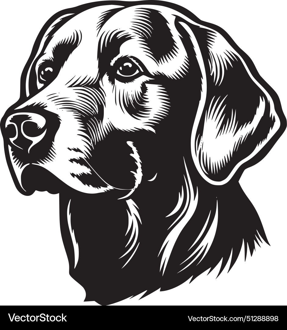 Labrador retriever - minimalist and flat logo Vector Image