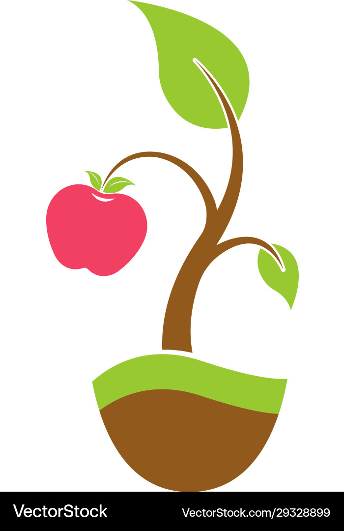 Apple tree logo Royalty Free Vector Image - VectorStock