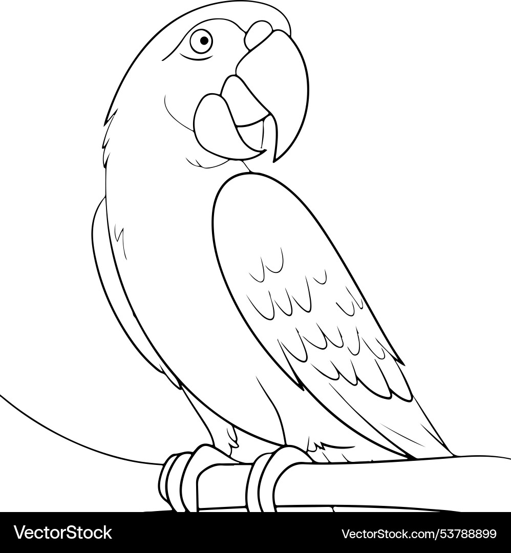 Ara parrot coloring page Royalty Free Vector Image