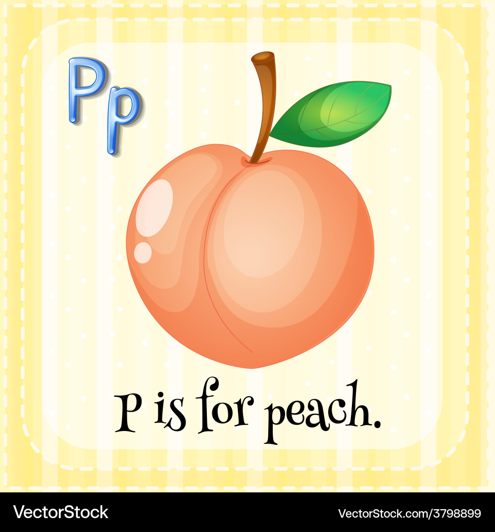 Peach Flashcard Vector Images (12)