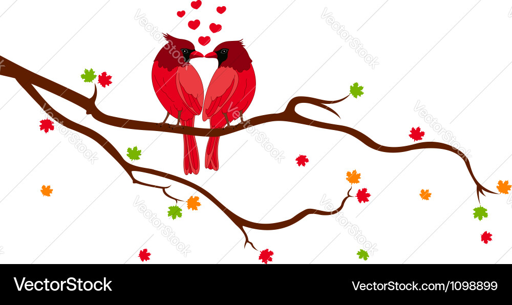 Love birds on tree branch Royalty Free Vector Image
