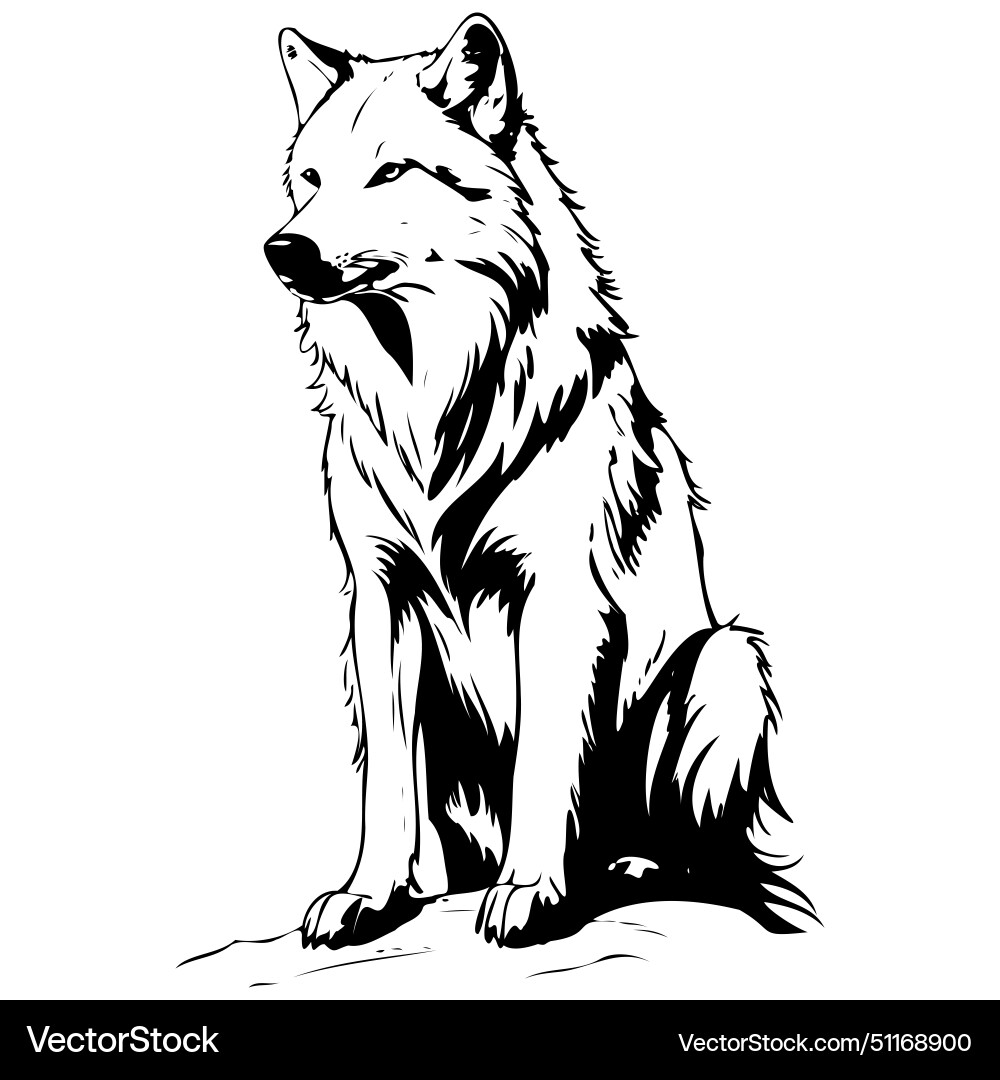 Isolated arctic wolf sitting black hand drawn Vector Image