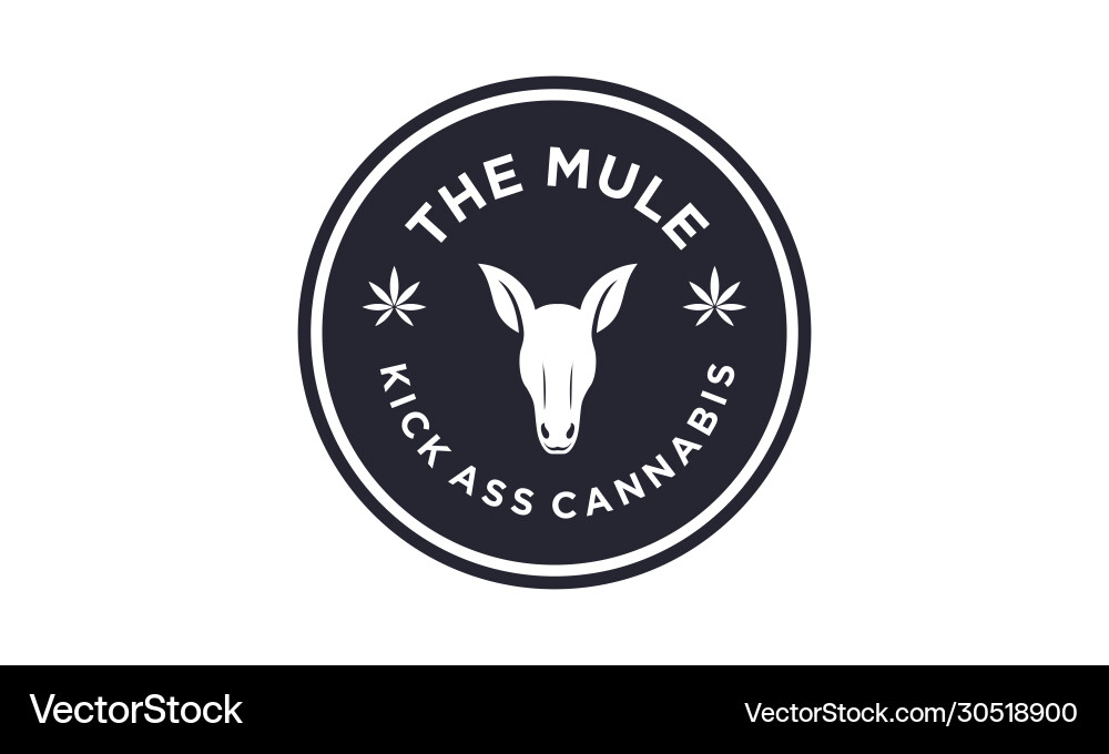 Mule Head Logo Concept - Editable Royalty Free Vector Image